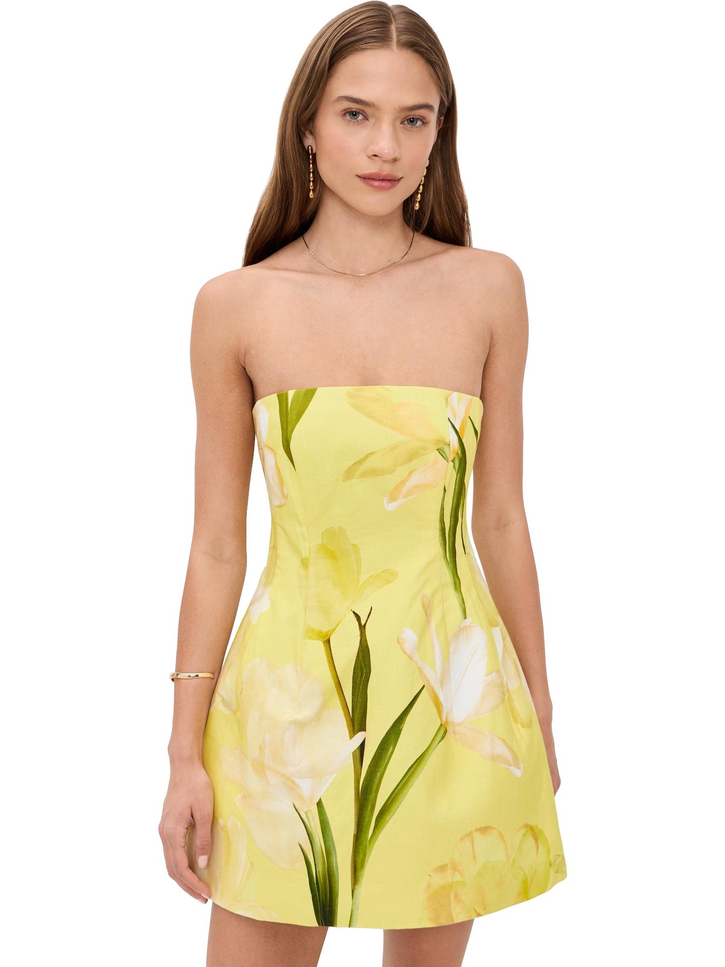 CARA CARA Ines Mini Dress